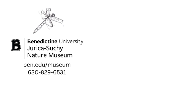 JSNM-Logo-2 – Discover-Nature