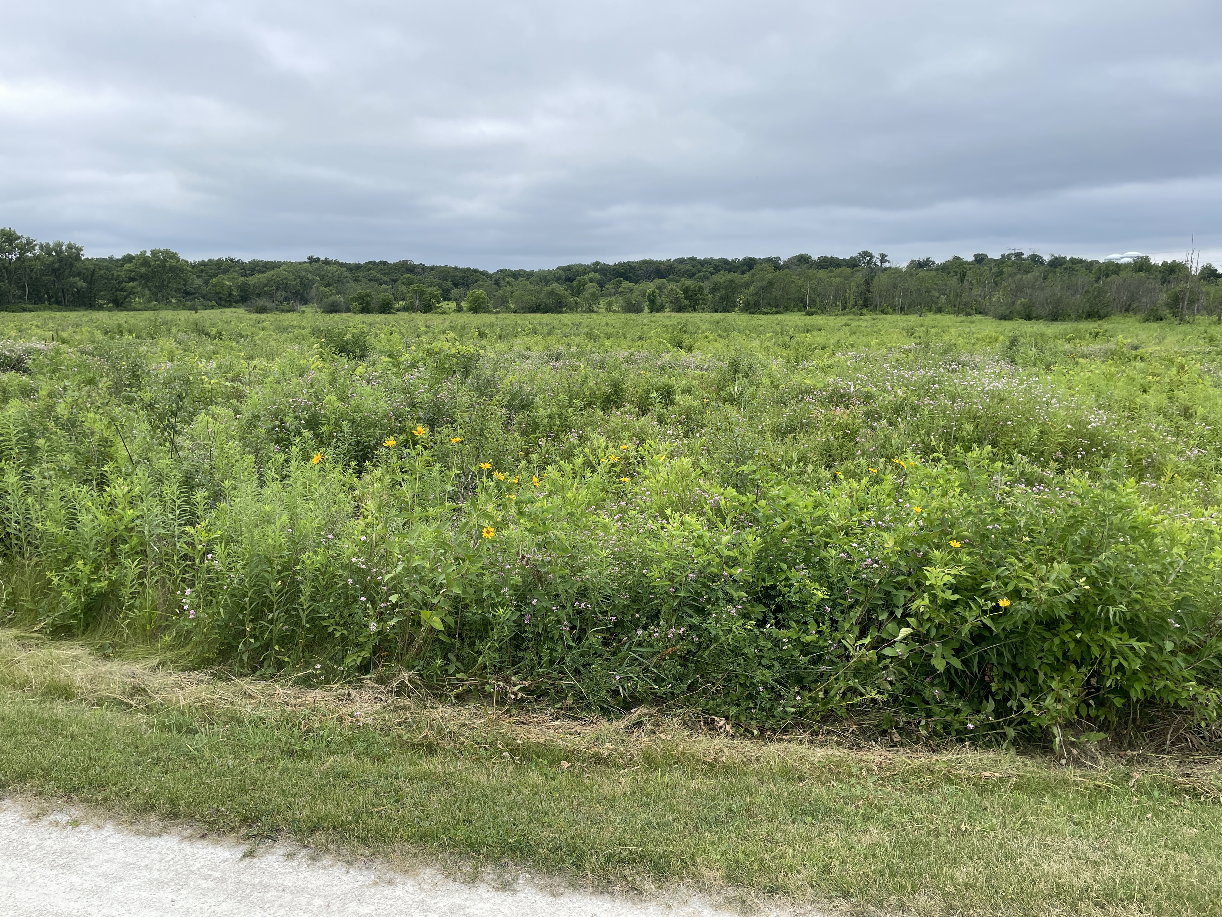 Greene Valley Trail – Discover-Nature