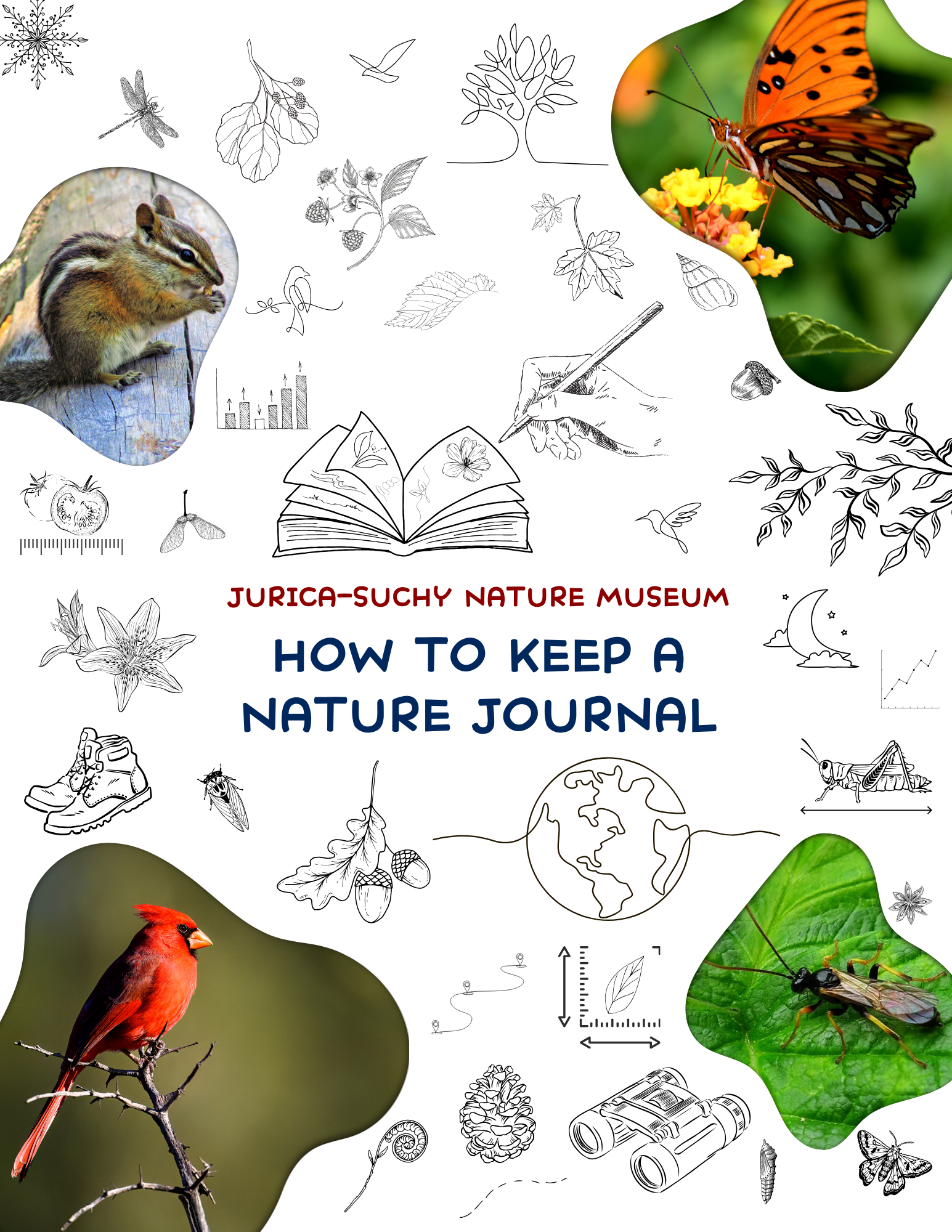 Nature Journaling Handouts – Discover-Nature